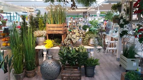 Tienda Decoracionherramientas Riego Semillas Mascotasbarbacoas Y