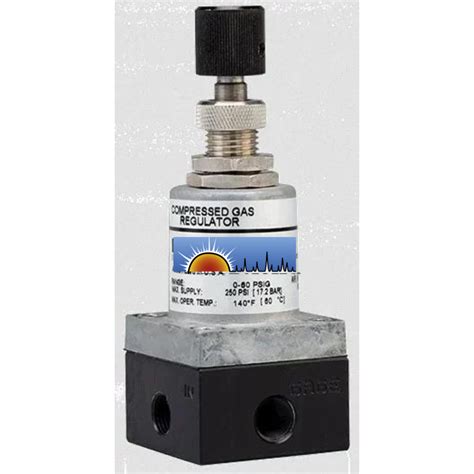 Pressure Regulator 0 4 Bars