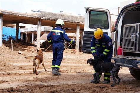 Uae Team Of Disaster Victim Identification Contribute To Locating 181