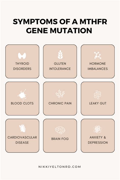 Whether Youve Been Clinically Diagnosed Or Suspect A Mthfr Gene