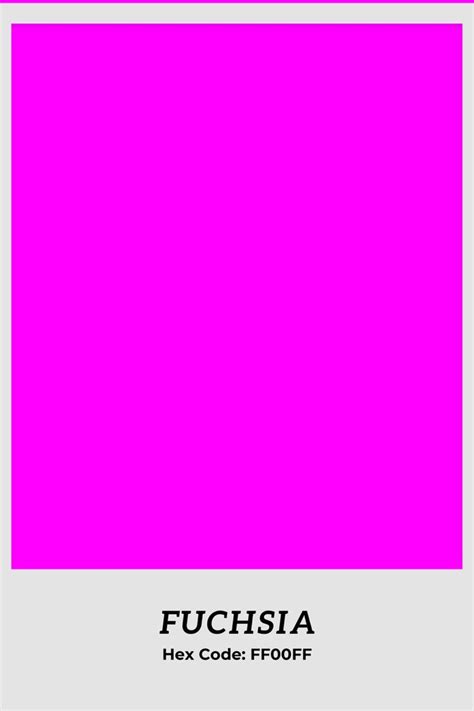 Fuchsia Hex Colors Color Fuchsia