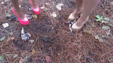 Two Sexy Milfs Crushing Fish In High Heels Free Hd Porn 31 Xhamster