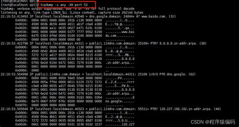 Linux C C Dns Dns Query Cdns Csdn