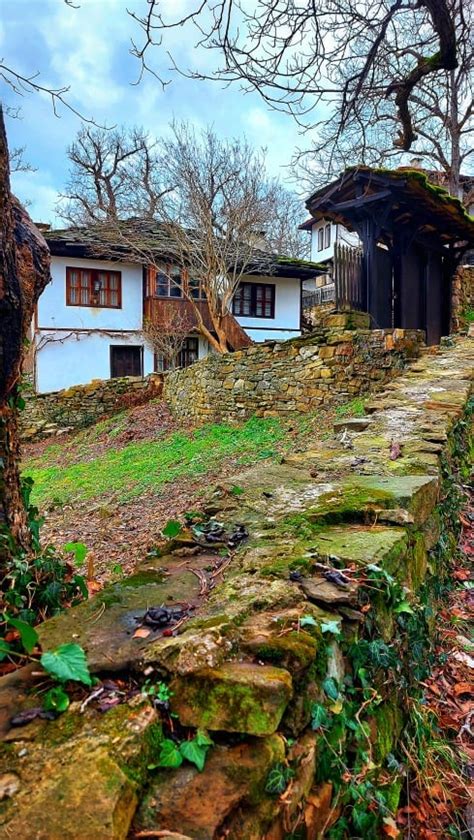 Кръжок Четящият студент четящото дете ВТУ ПФ Кръжок “Четящият студент четящото дете