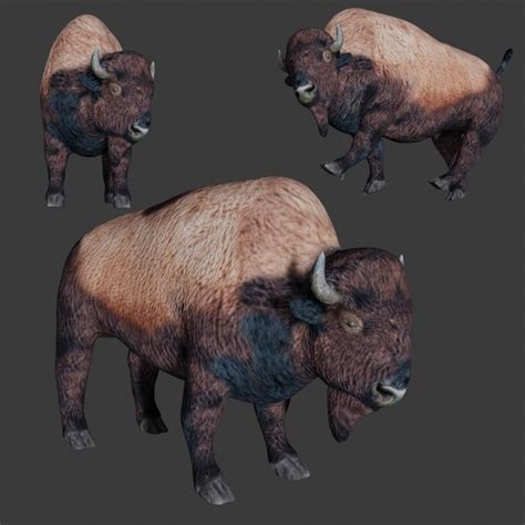 3D Fully Rigged Low Poly Moose Model TurboSquid 1748770
