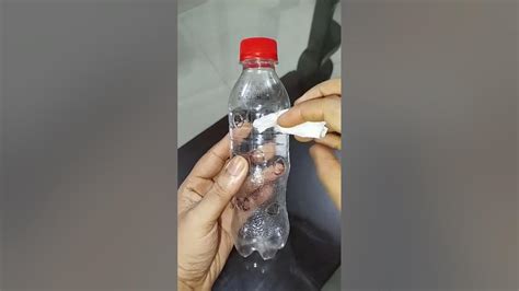 প্লাস্টিকের বোতল ফুটো করে এভাবে টিস্যু গুজে ঘরের কোনে রেখে দিন মশা মাছি
