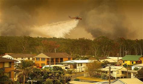 ¿por Qué Ocurrió La Impactante Temporada De Incendios Forestales En