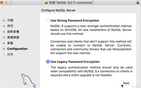 Mysql80下载安装与配置保姆级教程 Macos版本 Csdn博客