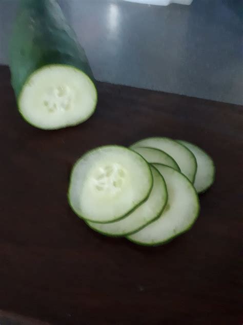 Northsider Cucumbers Grown From Lidl Goodness Gang Seed Pots