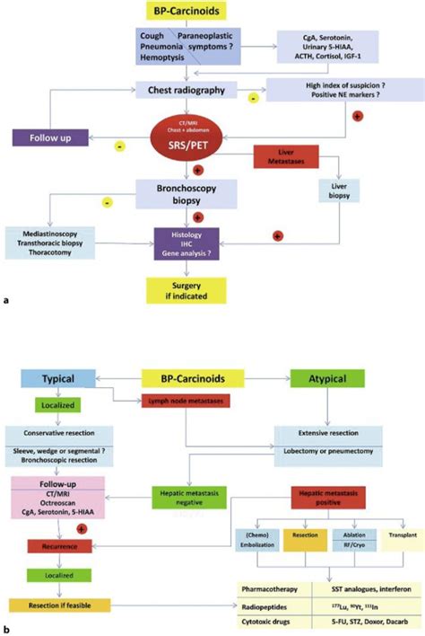 Diagnostic A And Treatment B Algorithm For Bronchopulmonary