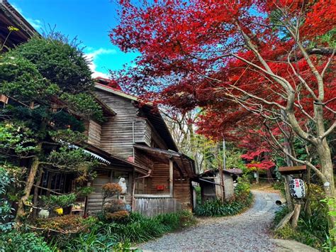 高尾山に代わる、八王子の穴場紅葉スポット！「長沼公園」 やっぱり八王子