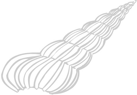 Cone Shell 36635843 Vector Art At Vecteezy