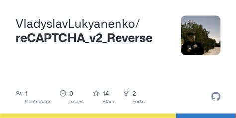 Github Vladyslavlukyanenkorecaptchav2reverse
