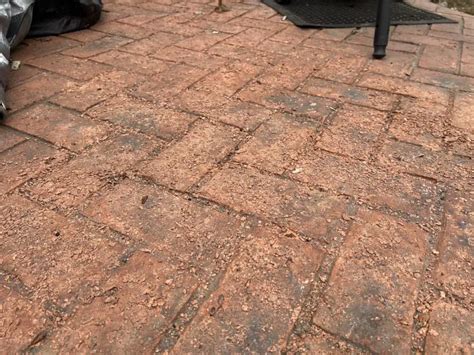 Concrete Surface Scaling Issues Using Type 1l Cement