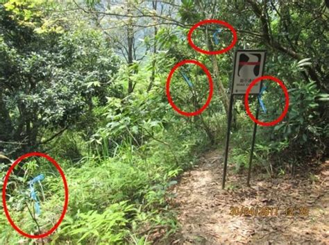 夏蟲也為你沉默 沉默是漫山的膠藍 中 運動筆記HK hk running biji co