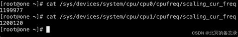 微知 如何查看服务器cpu当前运行主频？ cat sys devices system cpu cpu1 cpufreq scaling