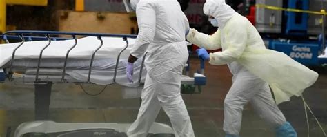 La France Franchit La Barre Des 90000 Décès Dus Au Covid 19