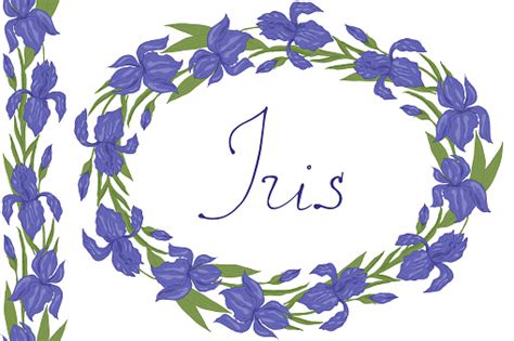 원활한 테두리 잎과 문자 벡터 일러스트와 손으로 그린 꽃 홍채의 끝없는 브러시 그래픽 프린트에 대한 스톡 벡터 아트 및 기타 이미지 그래픽 프린트 꽃 나무 꽃 꽃의