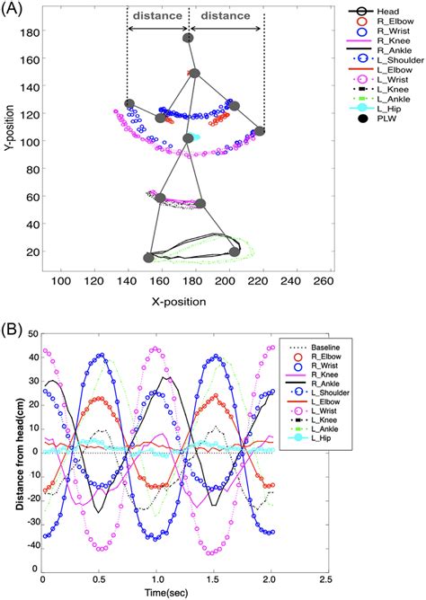 Extraction Of Joint Movements From A Lateral Point Light Walker A Download Scientific