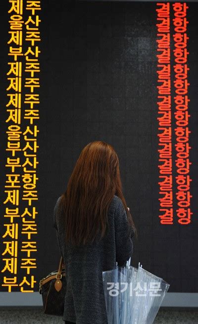 포토 태풍 산바에 막힌 하늘길