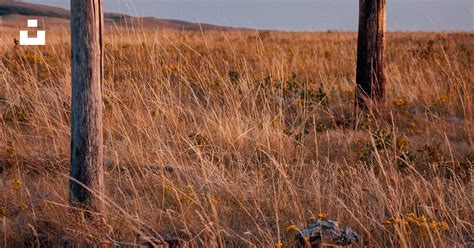 Brown Wooden Post On Brown Grass Field Under Blue Sky During Daytime