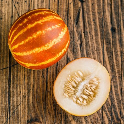 Melon Queen Annes Premier Seeds Direct
