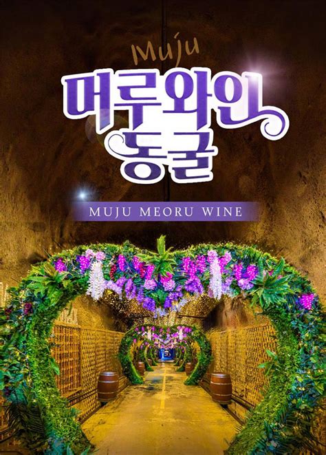 무주 머루와인동굴 입장권