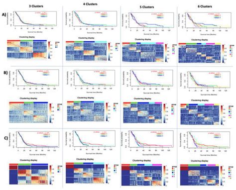 Performance Comparison Of Deep Learning Autoencoders For Cancer Subtype Detection Using Multi