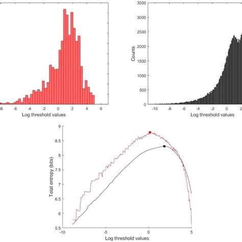 Histogram And Total Entropy As A Function Of The Thresholds For The Log Download Scientific Histogram And Total Entropy As A Function Of The Thresholds For The Log Download Scientific