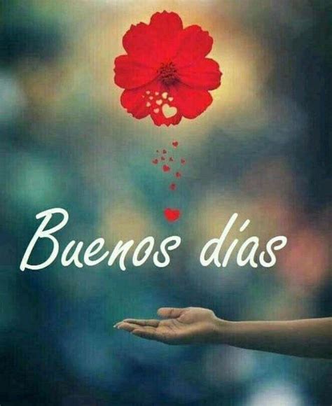 Bonitas Imágenes Para Buenos Días Página 3 De 13