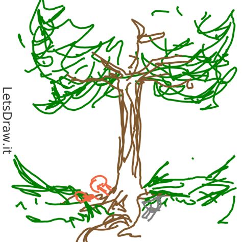 How To Draw Apple Tree 579ypki6s Png LetsDrawIt