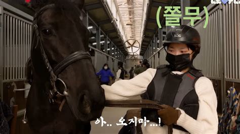 말이랑 친해지고 싶은 쫄무 Youtube