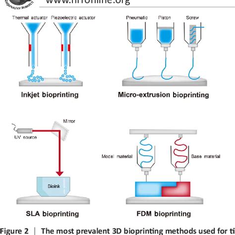 Figure 1 From The Combined Application Of Stem Cells And Three