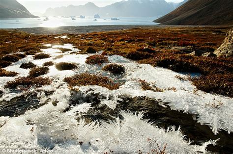Melting Arctic Permafrost Could Unlock Ancient Diseases Daily Mail Online