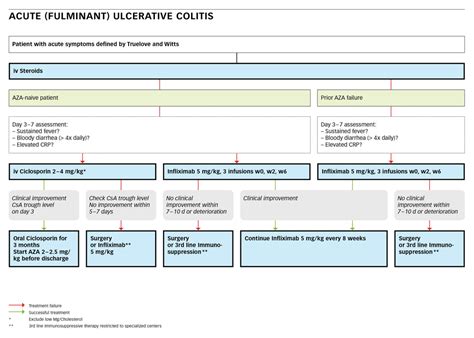 Almond Flour Ulcerative Colitis At Amparo Lisi Blog