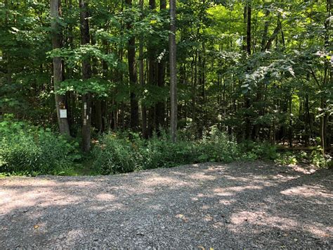 Swedish Loop Trails Less Traveled Central Ny