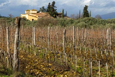 Lets Meet The Medicis In The Countryside Florentine Hills