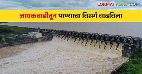Jayakwadi Dam Water Release Update जायकवाडी भरले १२ दरवाजे उघडून ६