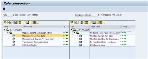 An SAP Consultant SAP Roles Comparison