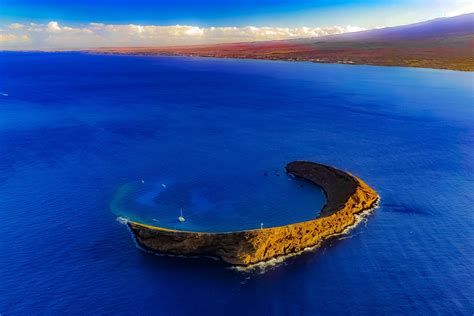 Molokini Snorkeling In Maui