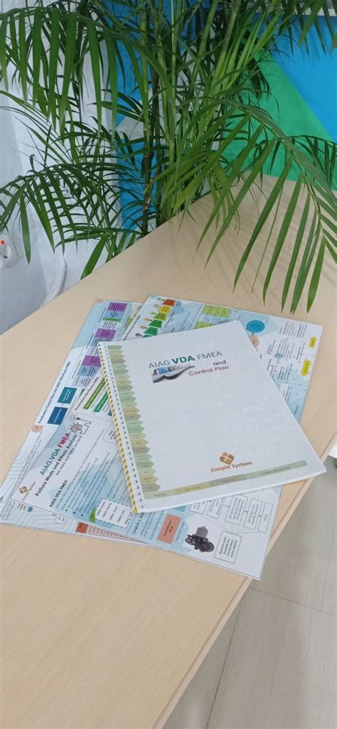 Fmea Simple System By Cisca