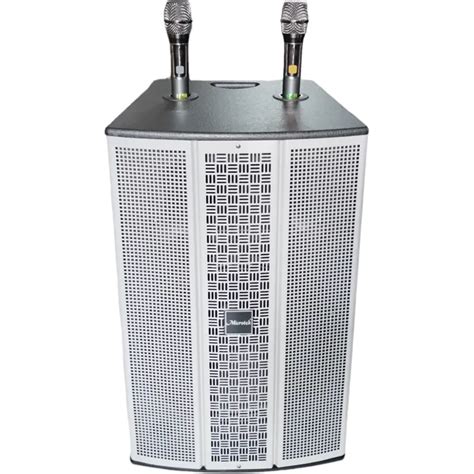 Loa Kéo Microtek Mtk 650b Minhtriaudiopro