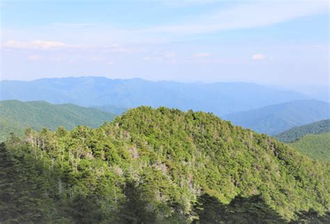 국립백두대간수목원