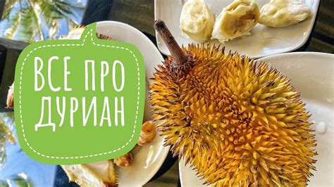 пляж ПОЛХЕНА / черепашата и комендантский час / ДУРИАН и пальмовый ...