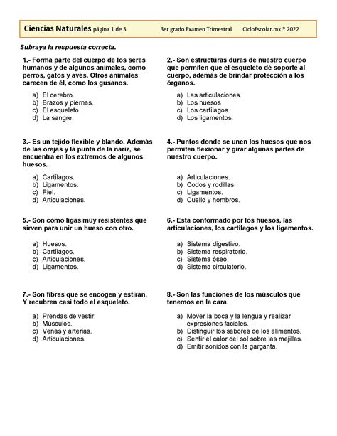 Examen Trimestre Bloque I 3° Primaria Ciclo Escolar 2022 2023página08