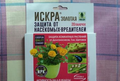 Щитовка на орхидее: фото, как избавиться в домашних условиях