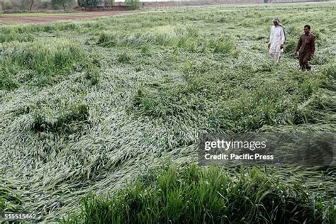 Mohinder Singh Photos And Premium High Res Pictures Getty Images