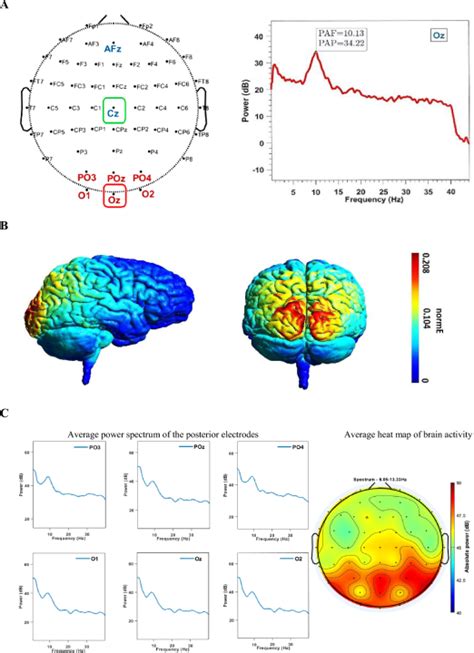 Exploring The Correlation And Causation Between Alpha Oscillations And