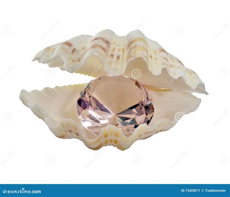 Crystal In A Cockleshell Stock Image Image Of Souvenir 7549071