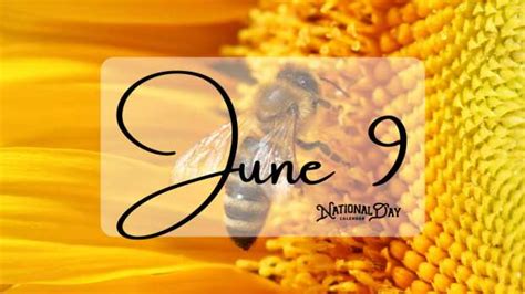 November 16 Birthdays And Events National Day Calendar